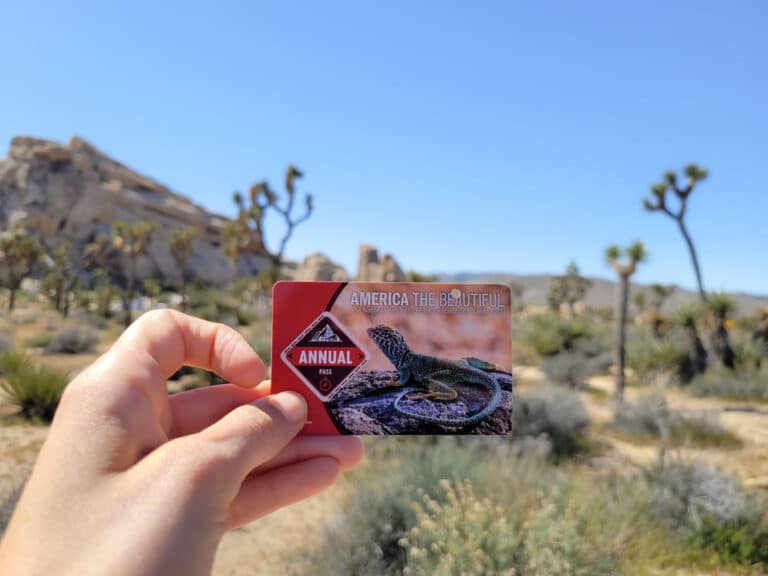 Joshua Tree National Park Itinerary (California) | A Ticket to Take Off