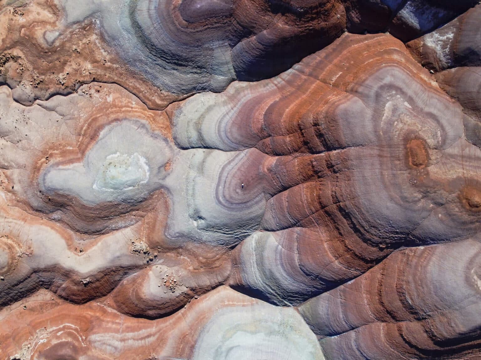 How to spend one day in Capitol Reef National Park (map included) | A ...
